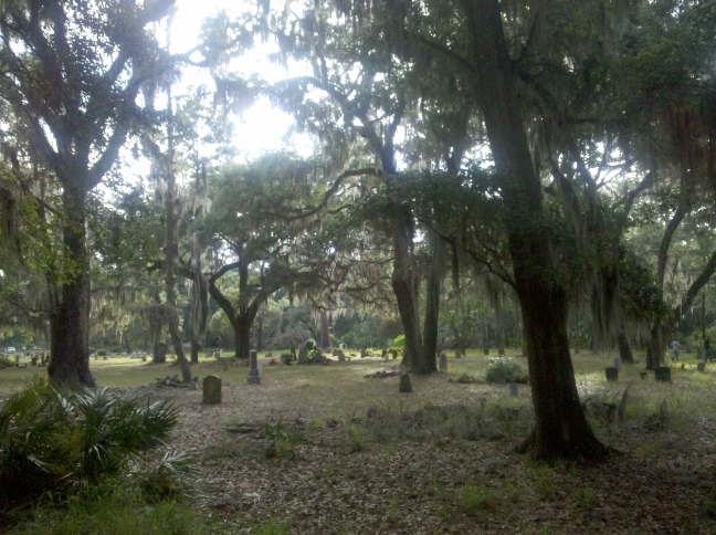 Behavior Cemetery